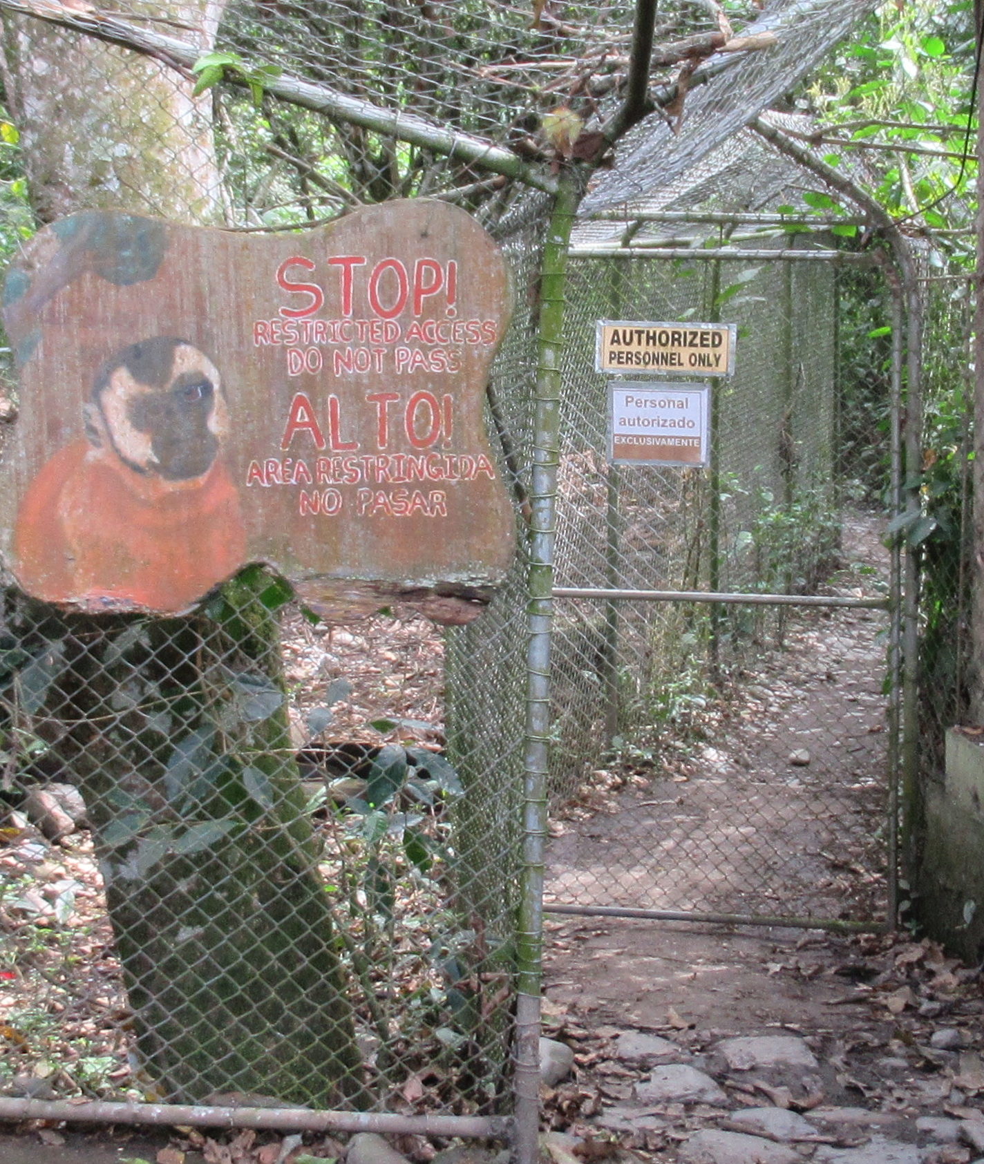 The monkey section - Chile to Mexico